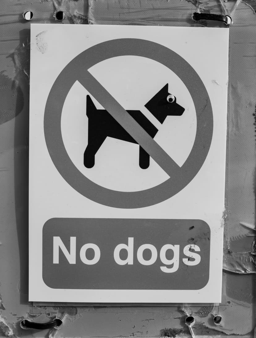 Floaters After Cataract Surgery: What to Expect 3 Months Post-Op ...