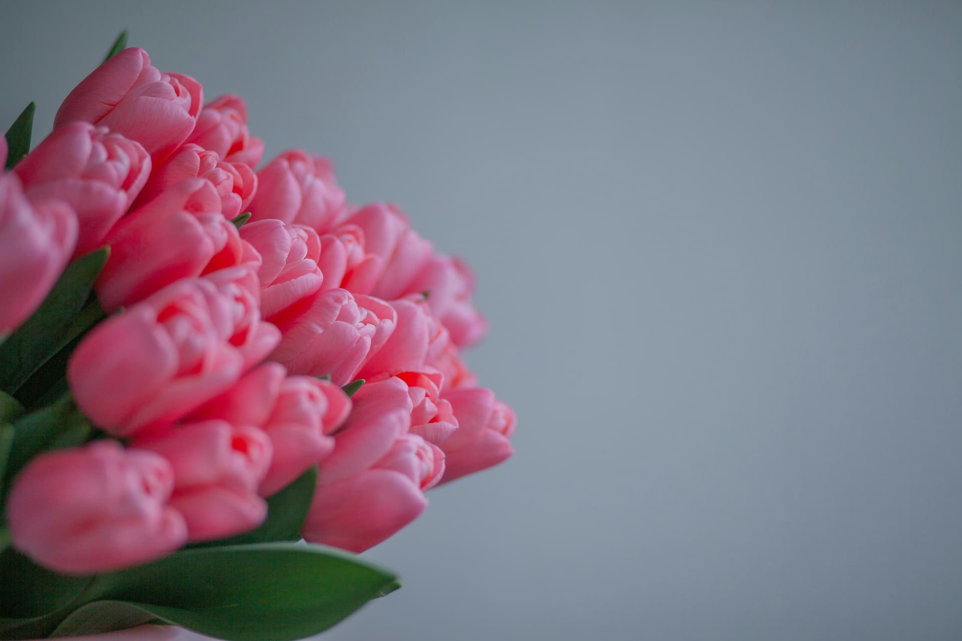 How to Use an Ear Bulb Syringe: A Step-by-Step Guide | Harmony Wellness ...