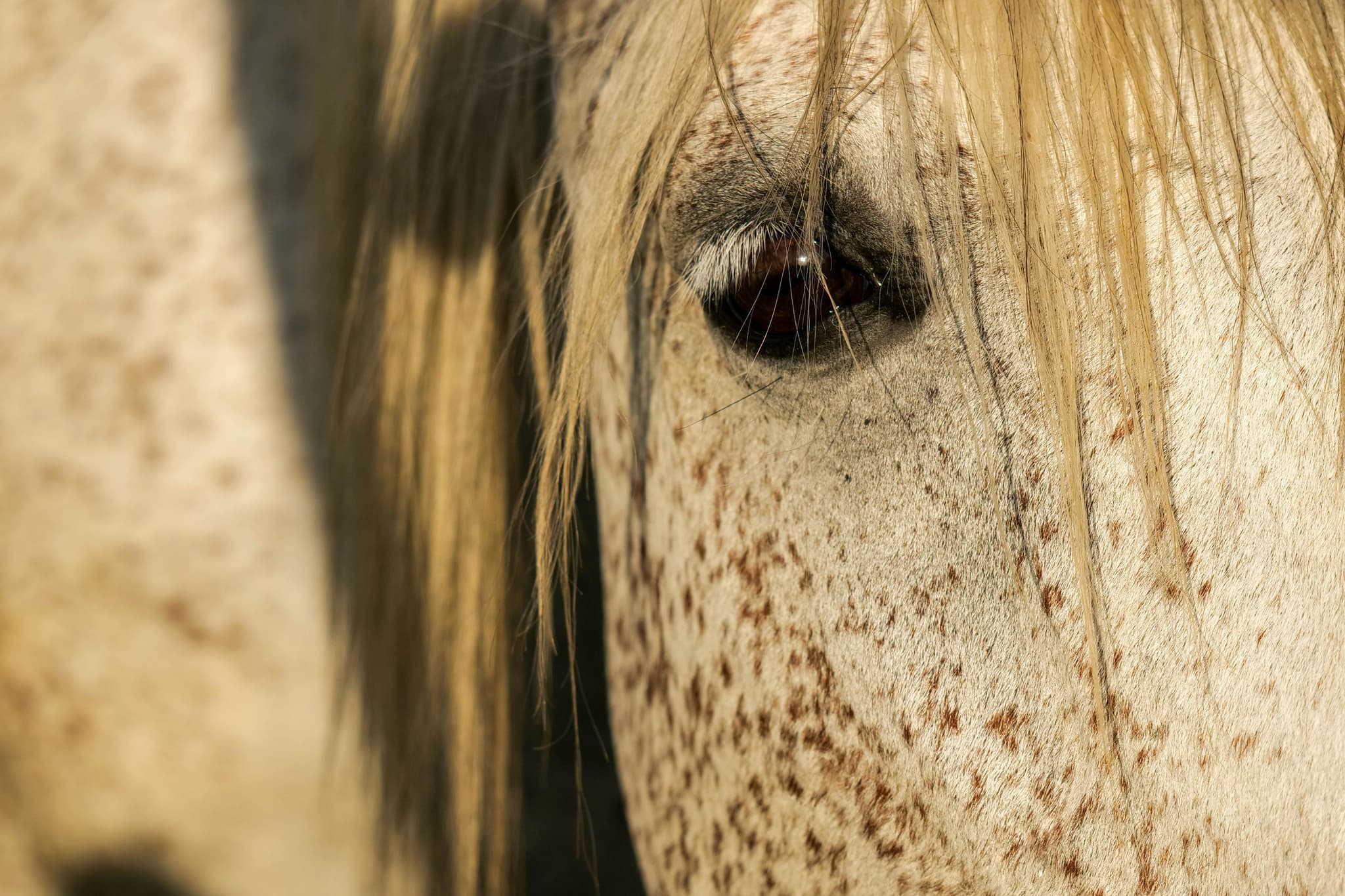 Floaters After Cataract Surgery: What to Expect 3 Months Post-Op ...