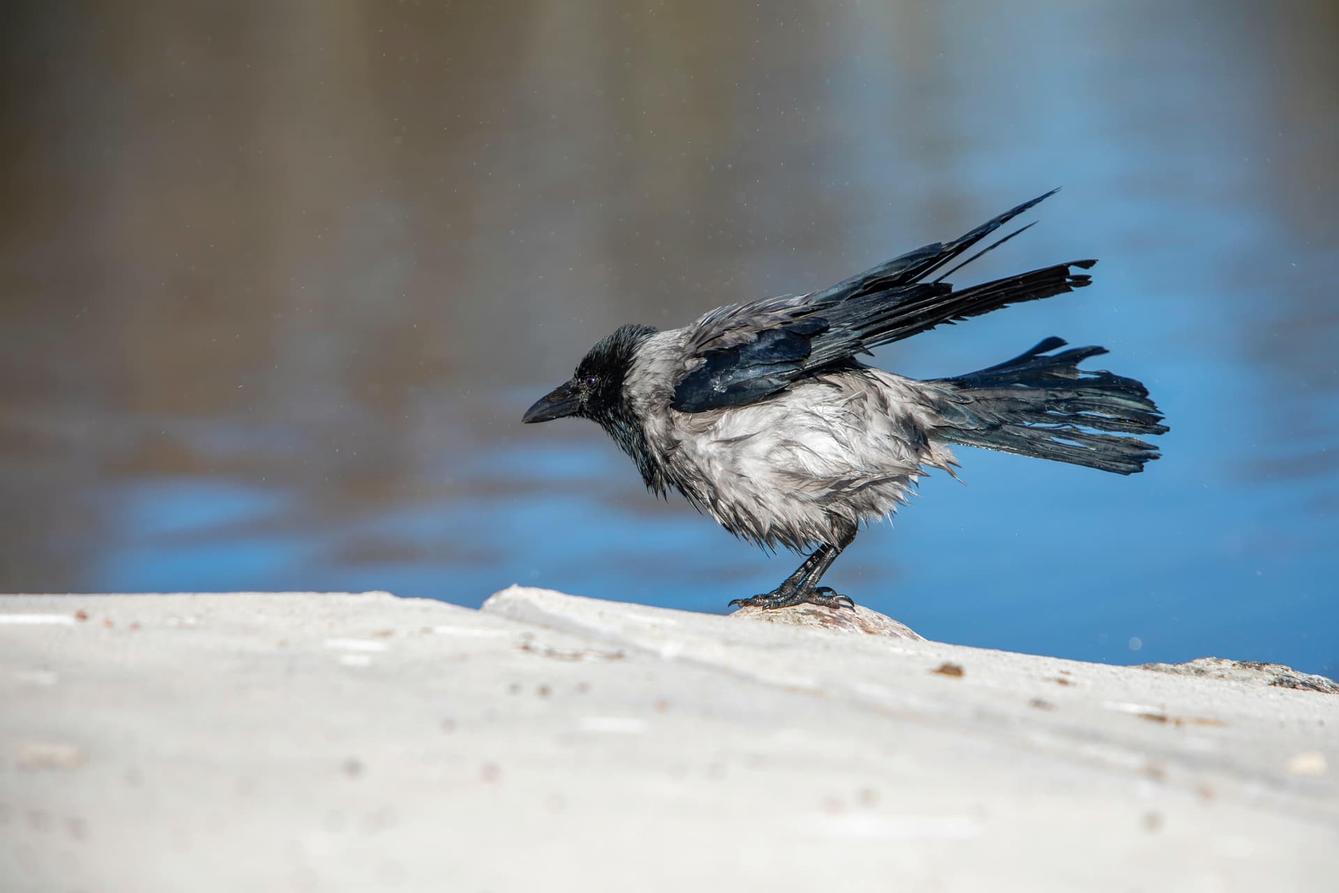 Understanding Black Spots in Vision: Causes, Symptoms, and Treatment ...