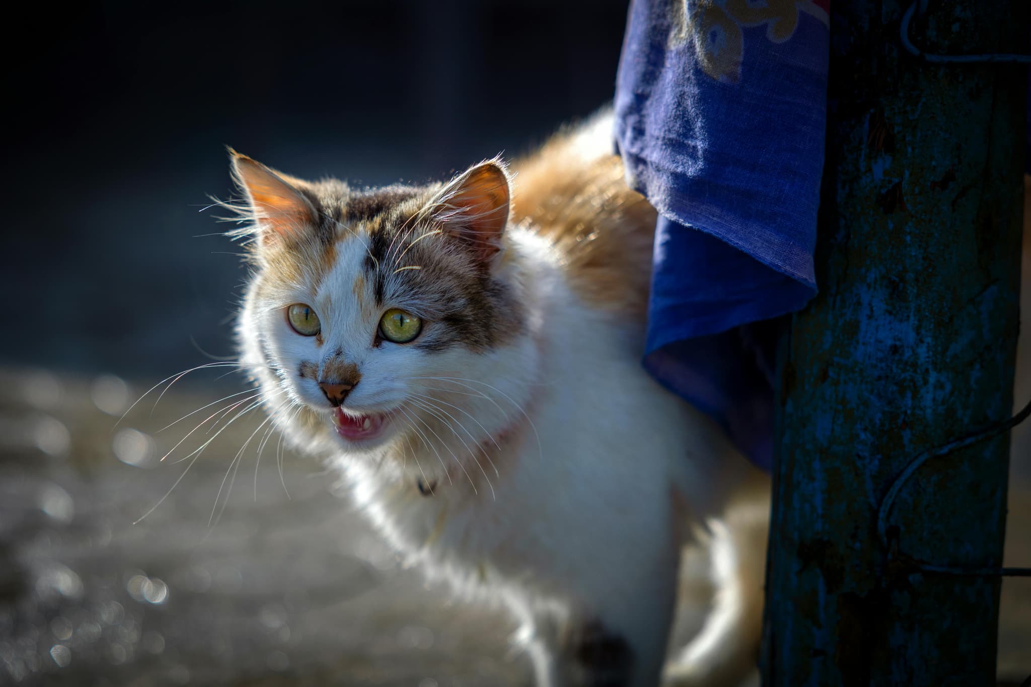 Sudden Black Spots in Vision: When It's Not Just Floaters | Harmony ...