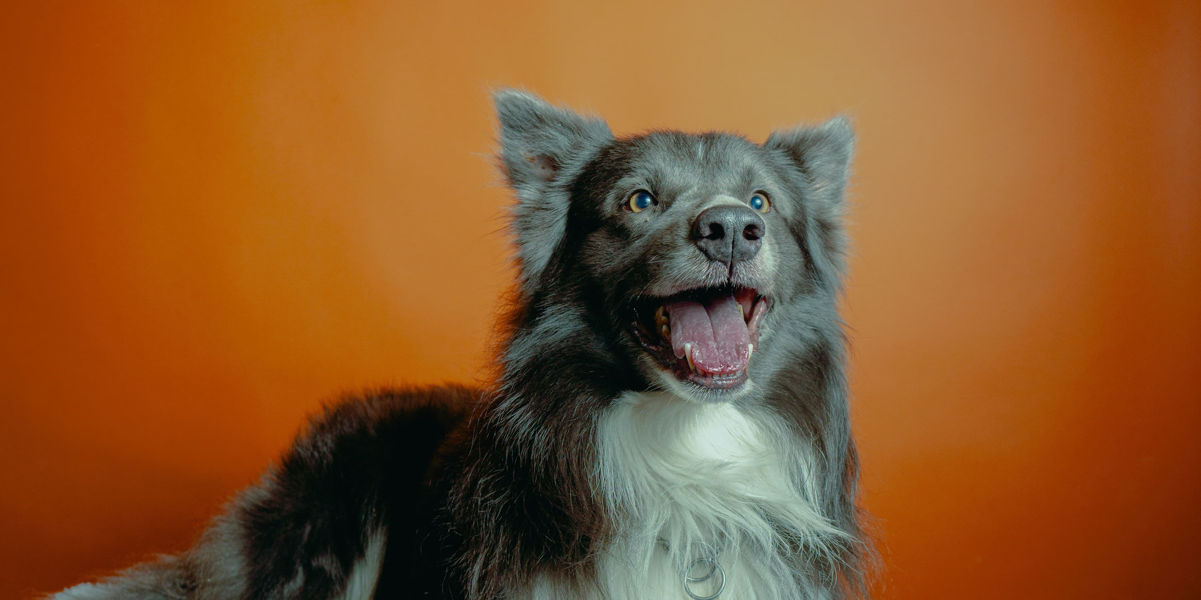 Orange Tongue: Causes, Symptoms, and Treatment Options | Harmony ...