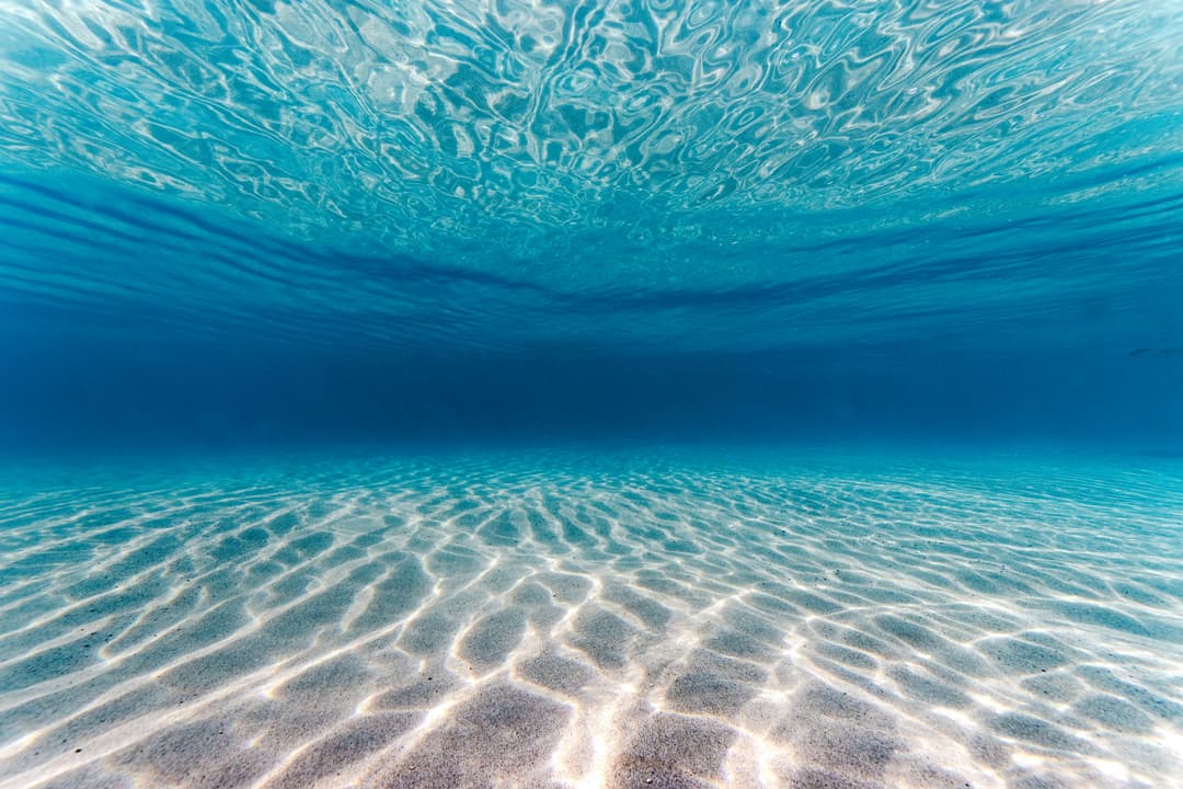 Understanding Normal EKG Strips: A Comprehensive Guide | Harmony ...