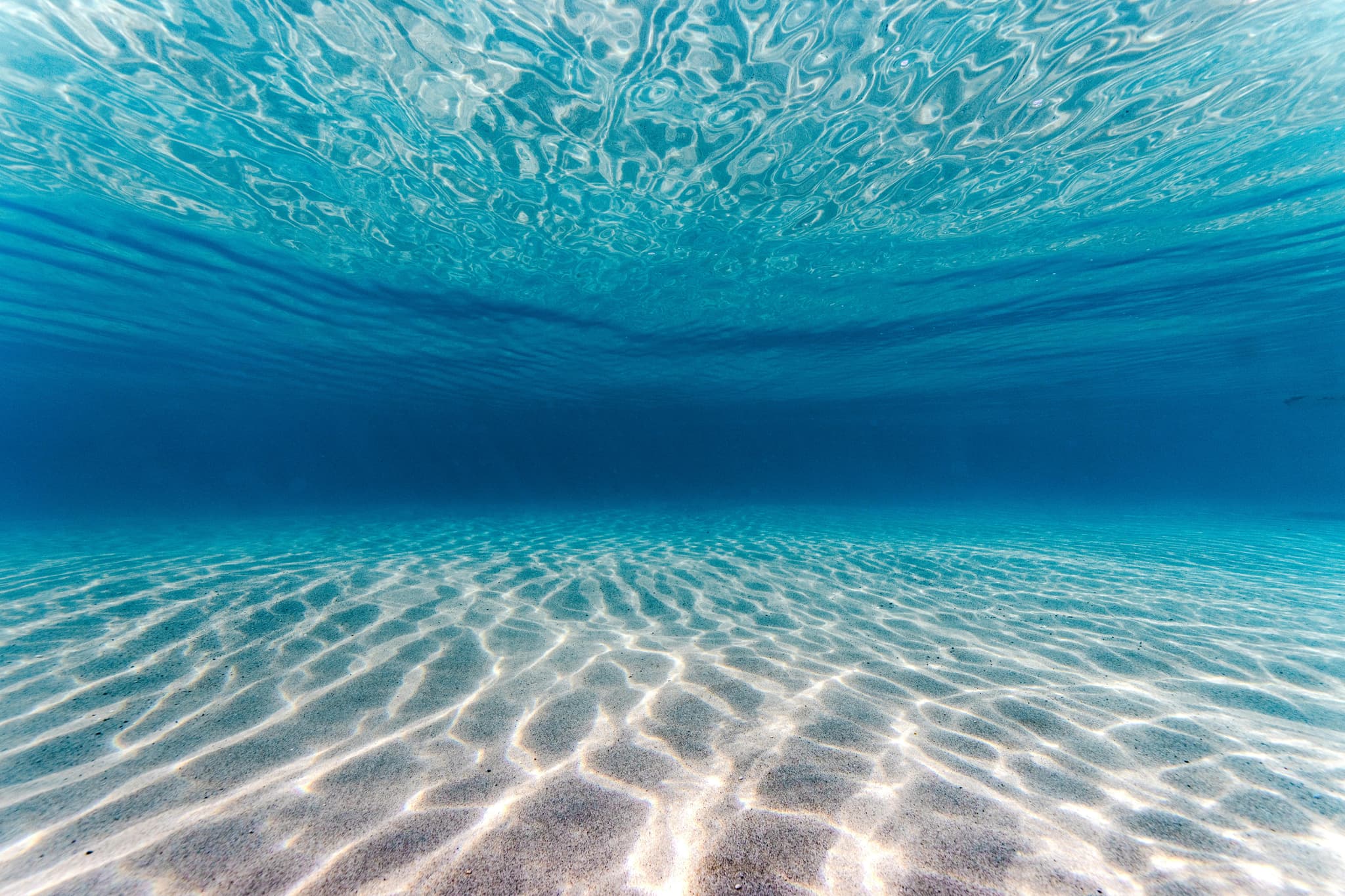 Understanding Normal EKG Strips: A Comprehensive Guide | Harmony ...