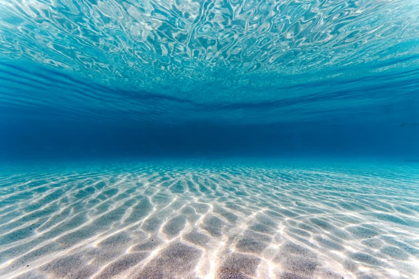 Understanding Normal EKG Strips: A Comprehensive Guide | Harmony ...