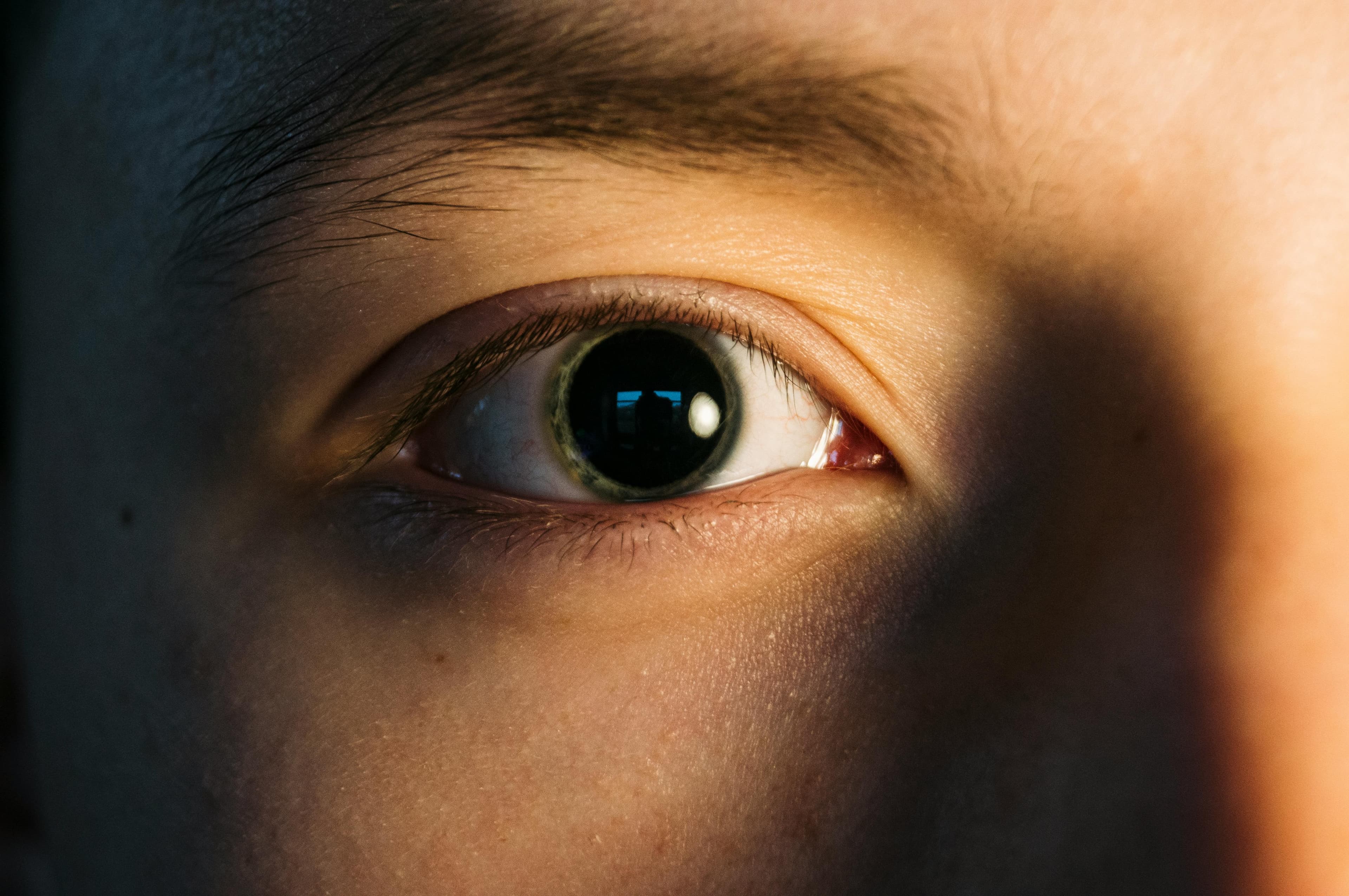 Baby's Dilated Pupils After a Fall: What Parents Need to Know | Harmony ...