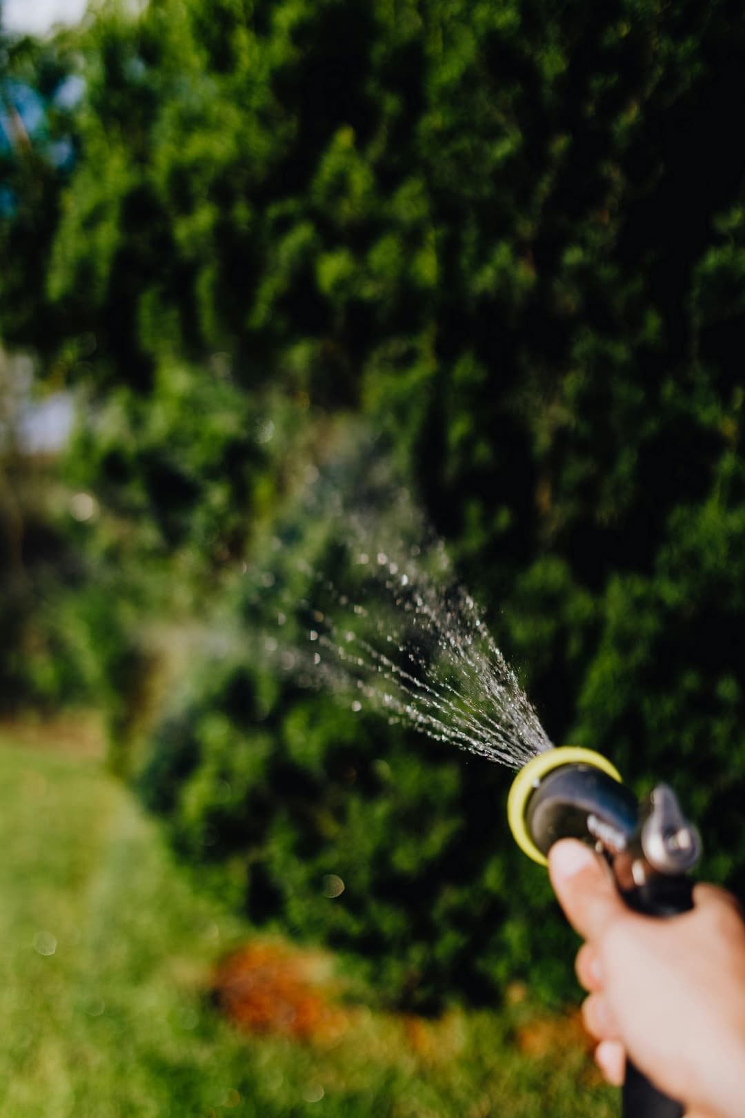 How to Use an Ear Bulb Syringe: A Step-by-Step Guide | Harmony Wellness ...
