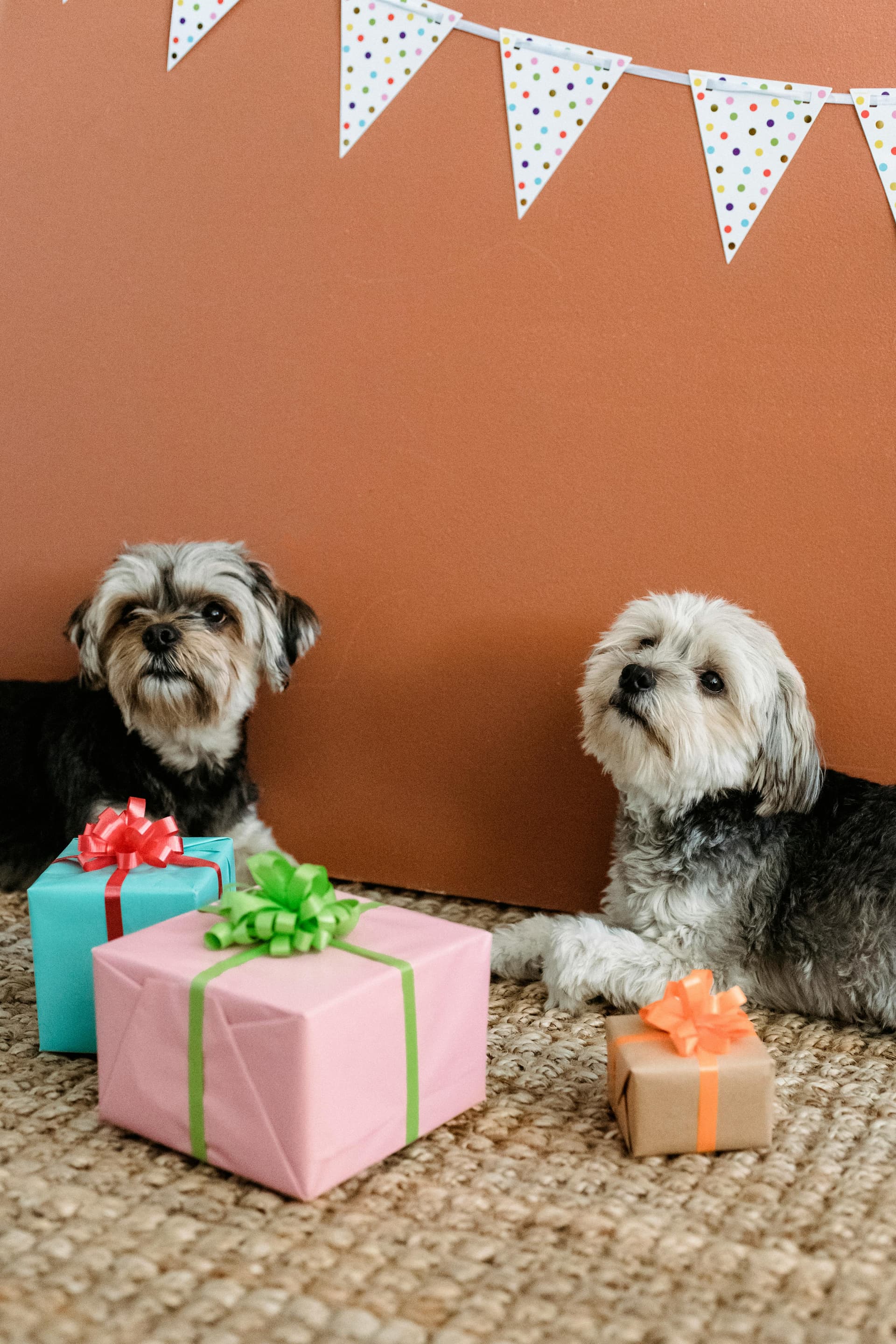 Carpet Rash: Causes, Symptoms, and Treatment Options | Harmony Wellness ...