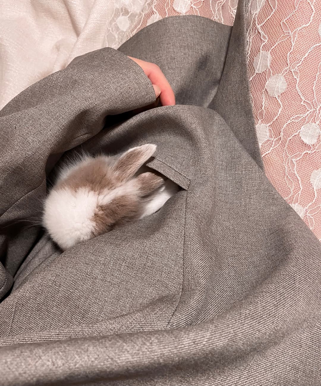 Rabbit Ears on ECG: Understanding the Unique Cardiac Patterns in ...